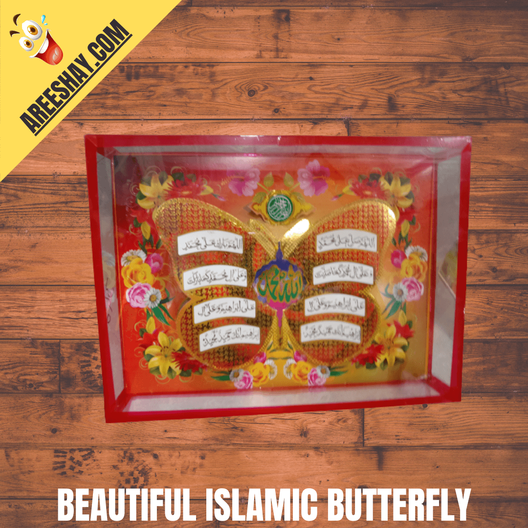 BEAUTIFUL ISLAMIC BUTTERFLY | Areeshay